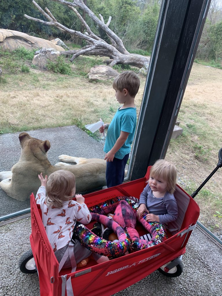 Mom About Town – Meet Sarah McCall! - NOLA Family Magazine