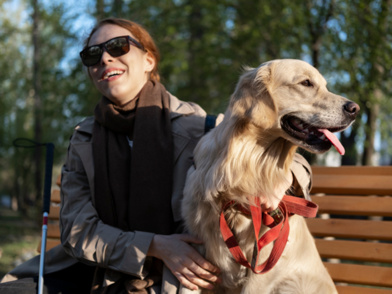 Service Dog Etiquette Guide - NOLA Family Magazine