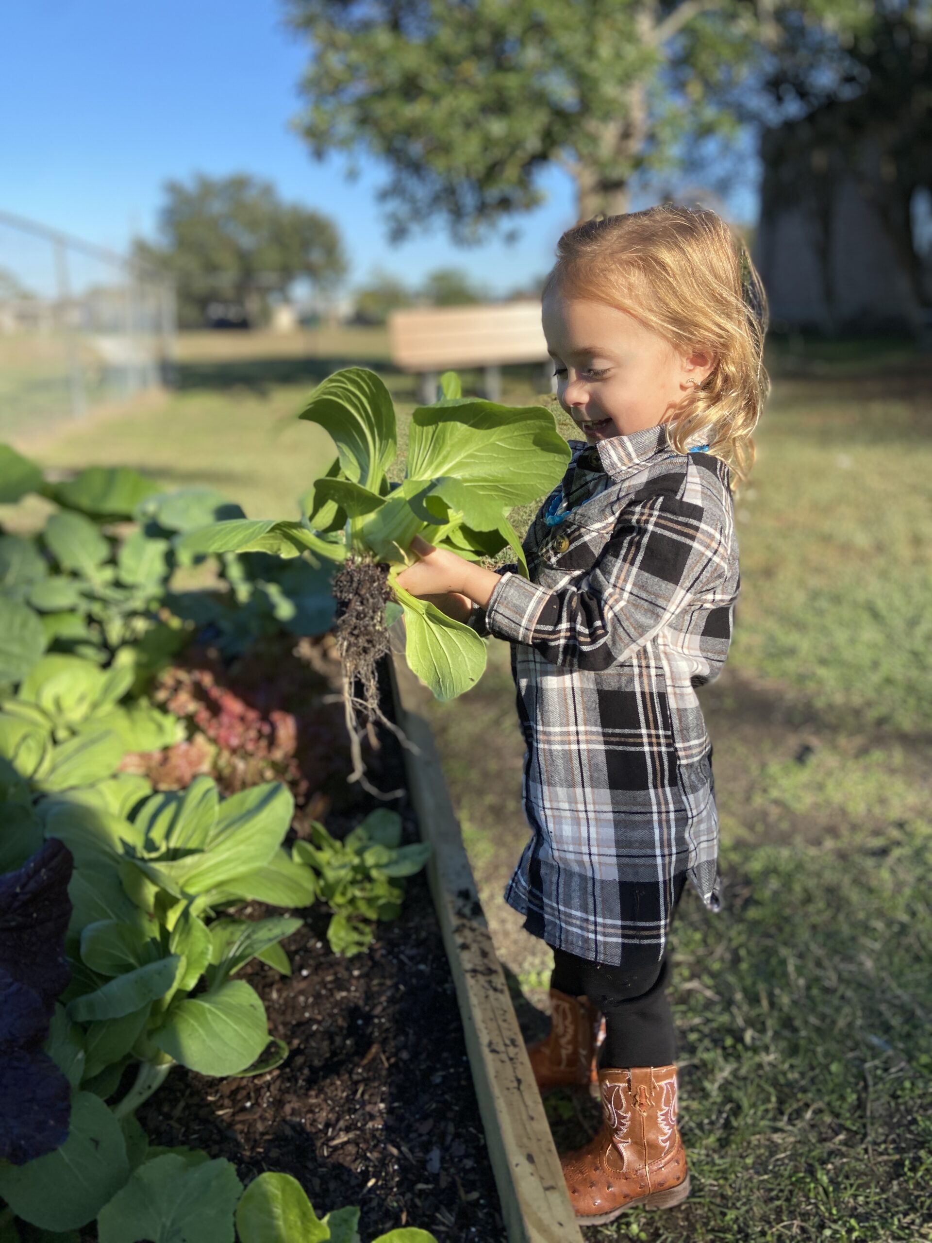 Arden Cahill Academy - NOLA Family Magazine